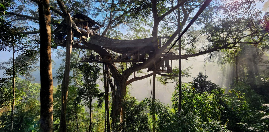 Gibbon Experience - Sleep in the World's Highest Treehouses in Northern ...