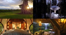 The 16 Most Unique Treehouse Hotel Designs