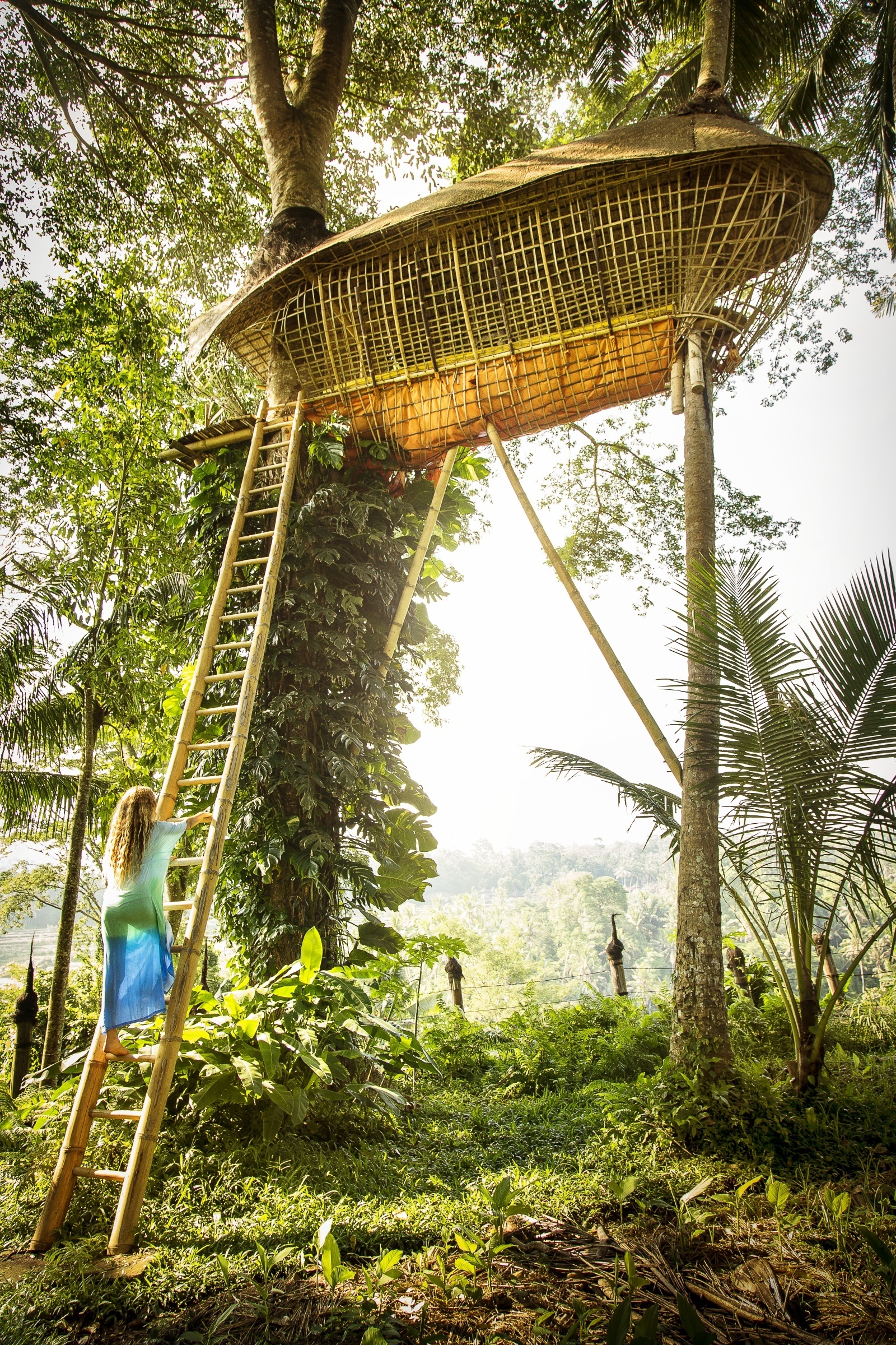 The 16 Unique Treehouse Hotel Designs
