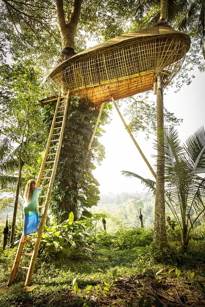 The 16 Unique Treehouse Hotel Designs
