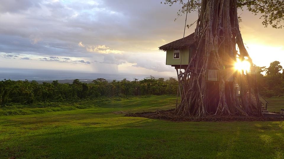 The 16 Unique Treehouse Hotel Designs