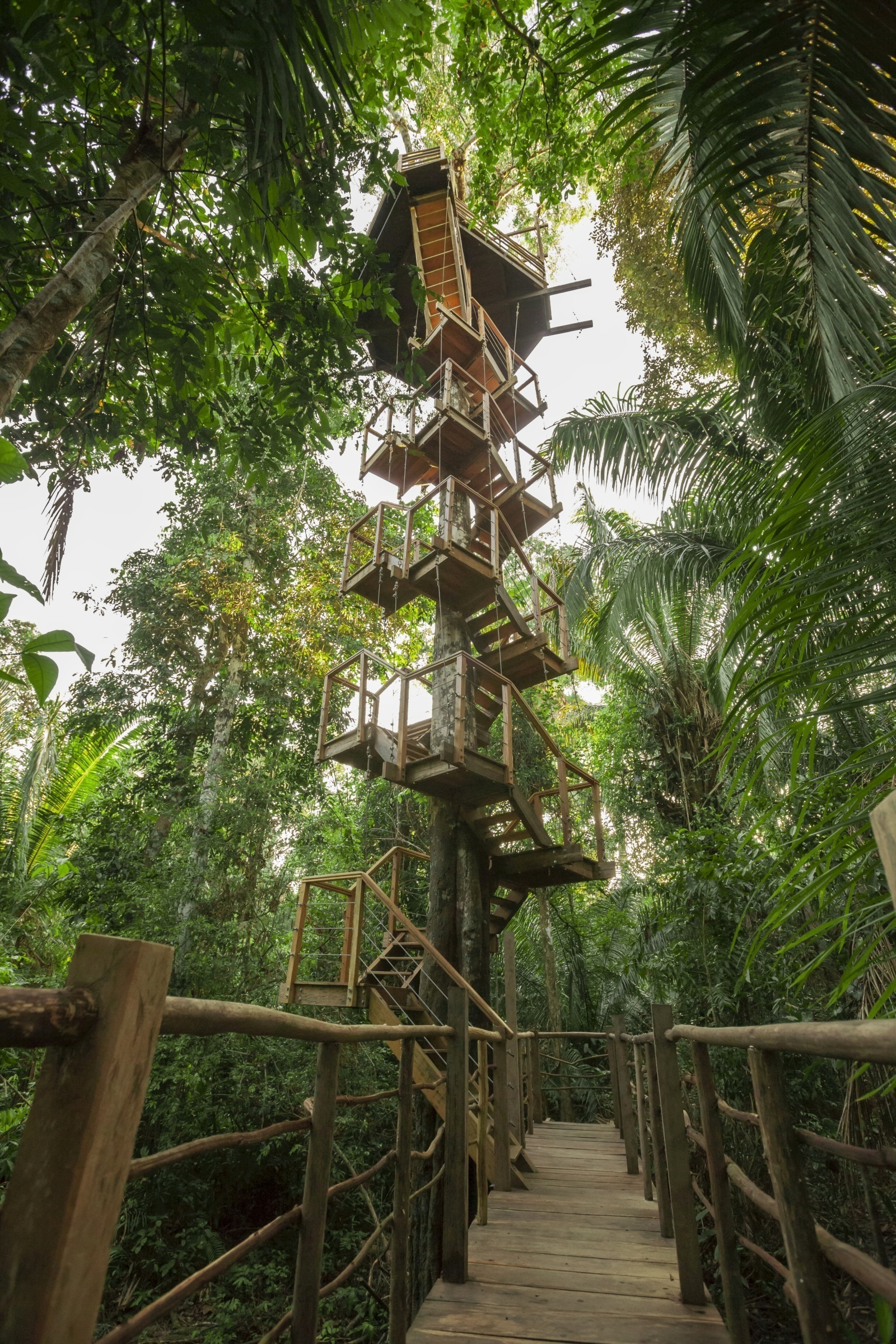 The 16 Unique Treehouse Hotel Designs