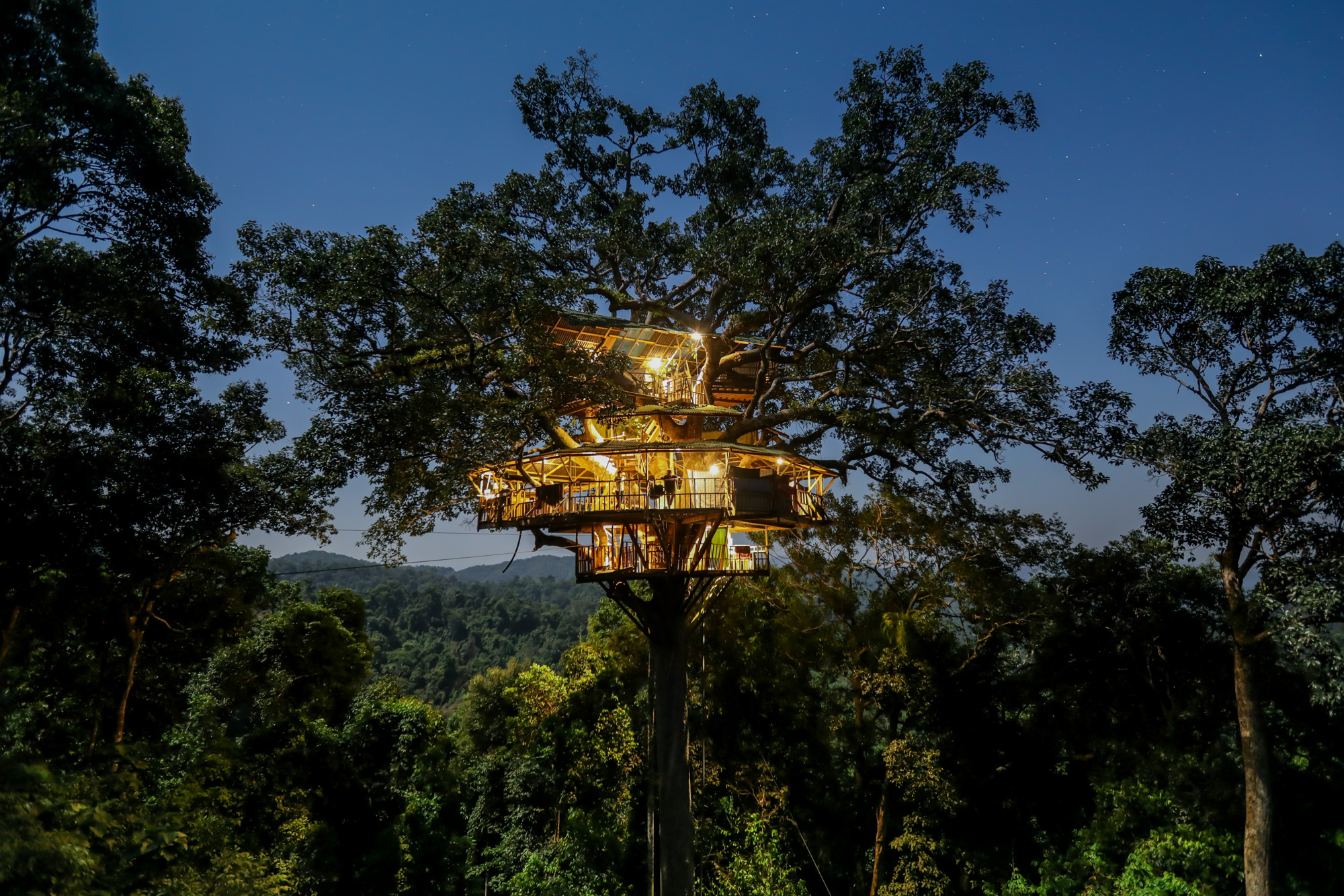 Gibbon Experience - Sleep in the World's Highest Treehouses in Northern ...