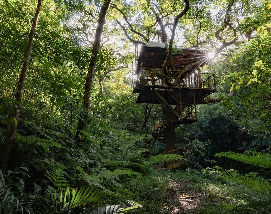 TreeHouse Point - Retreat Along The Raging River For Nature Lovers ...