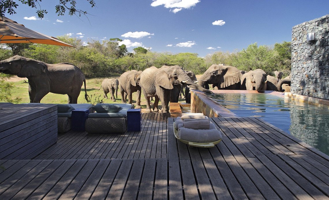 Animal Hotels | Unique and Unusual Hotels