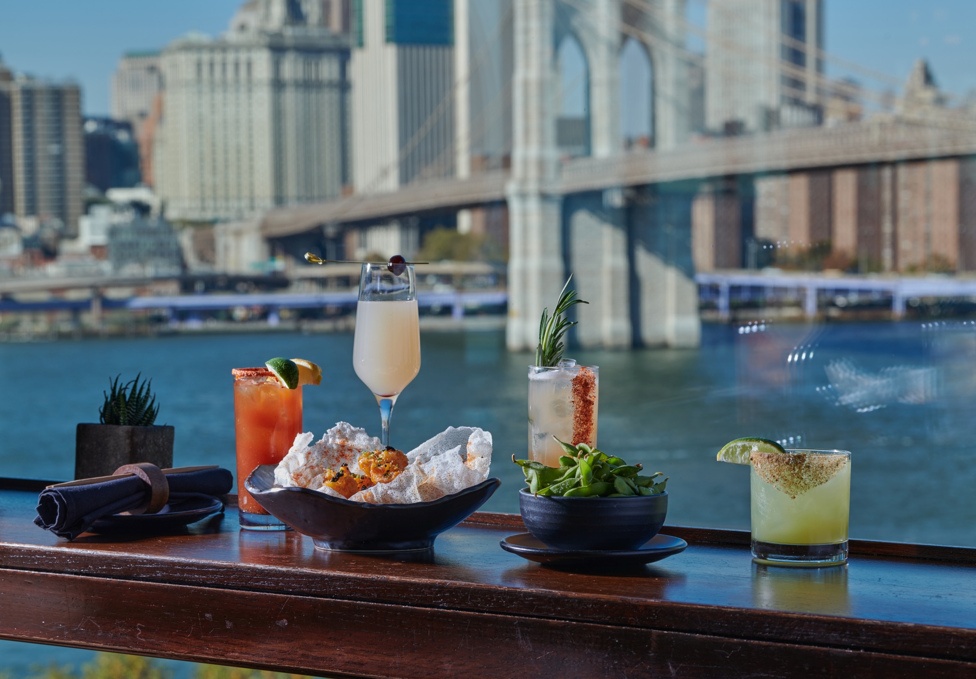 1 Hotel Brooklyn Bridge - Eco-Chic Five-Star Luxury with the Perfect ...
