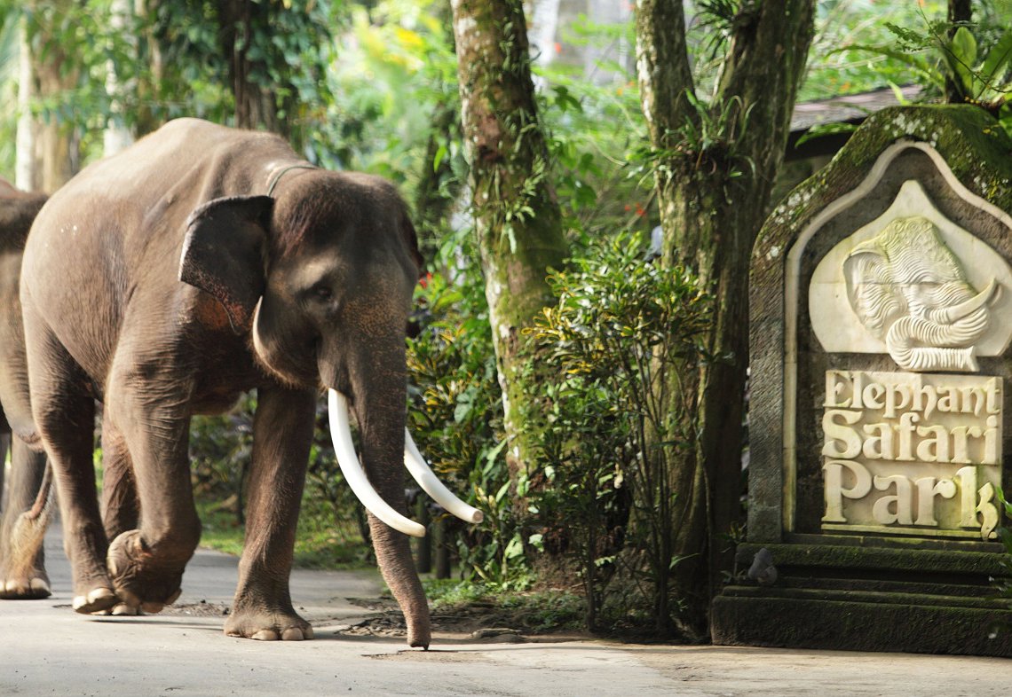 Animal Hotels | Unique and Unusual Hotels