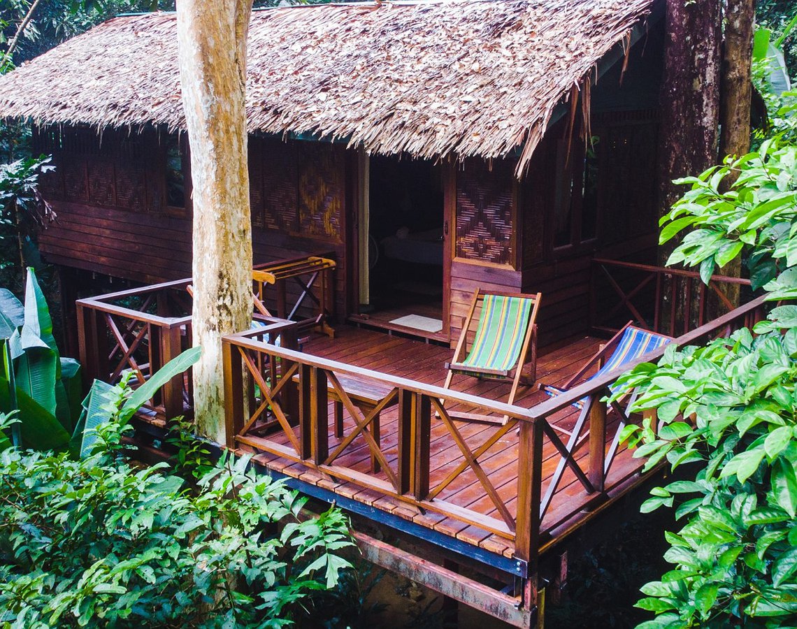Jungle Hotels | Unique and Unusual Hotels