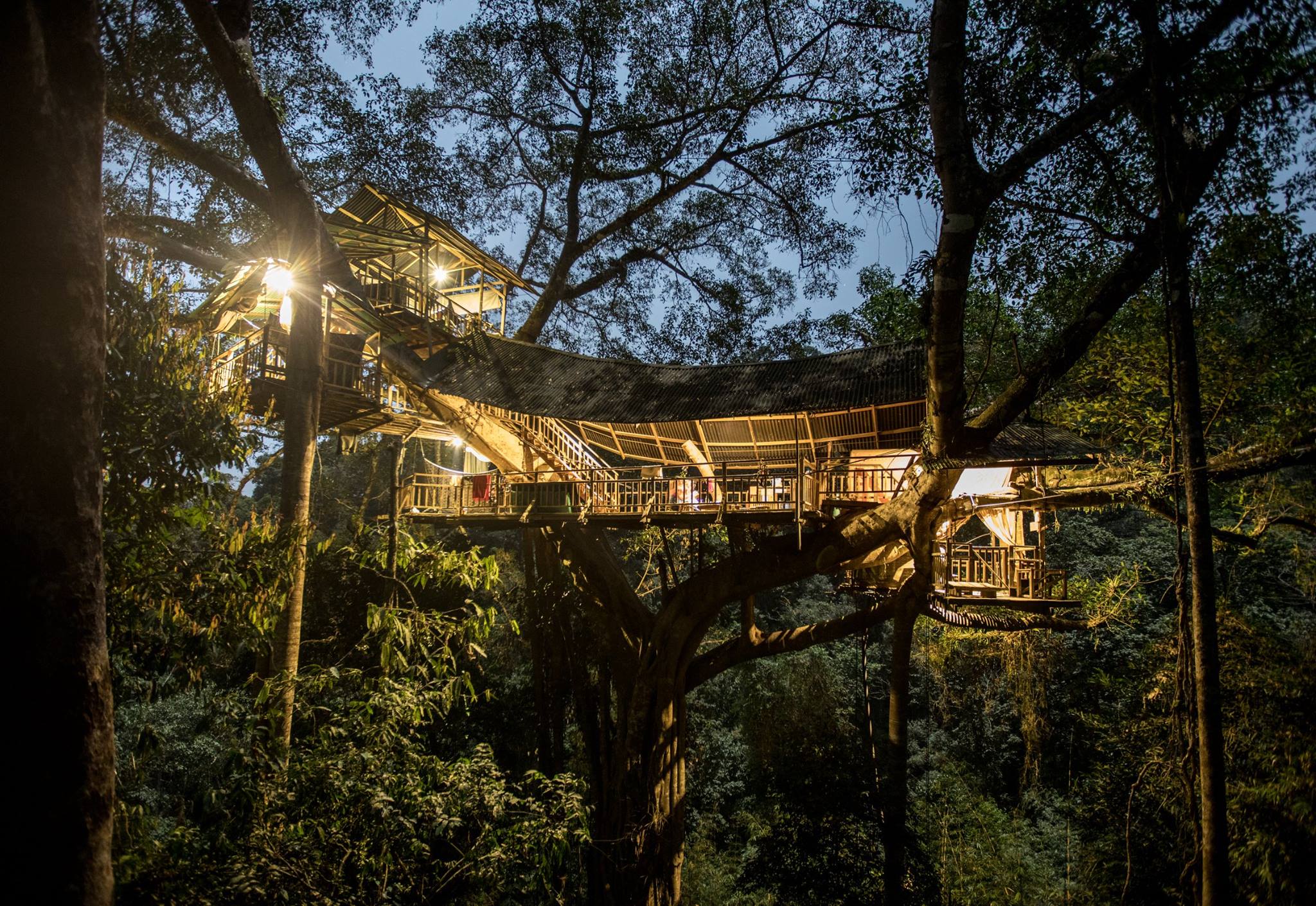 Gibbon Experience - Sleep in the World's Highest Treehouses in Northern ...