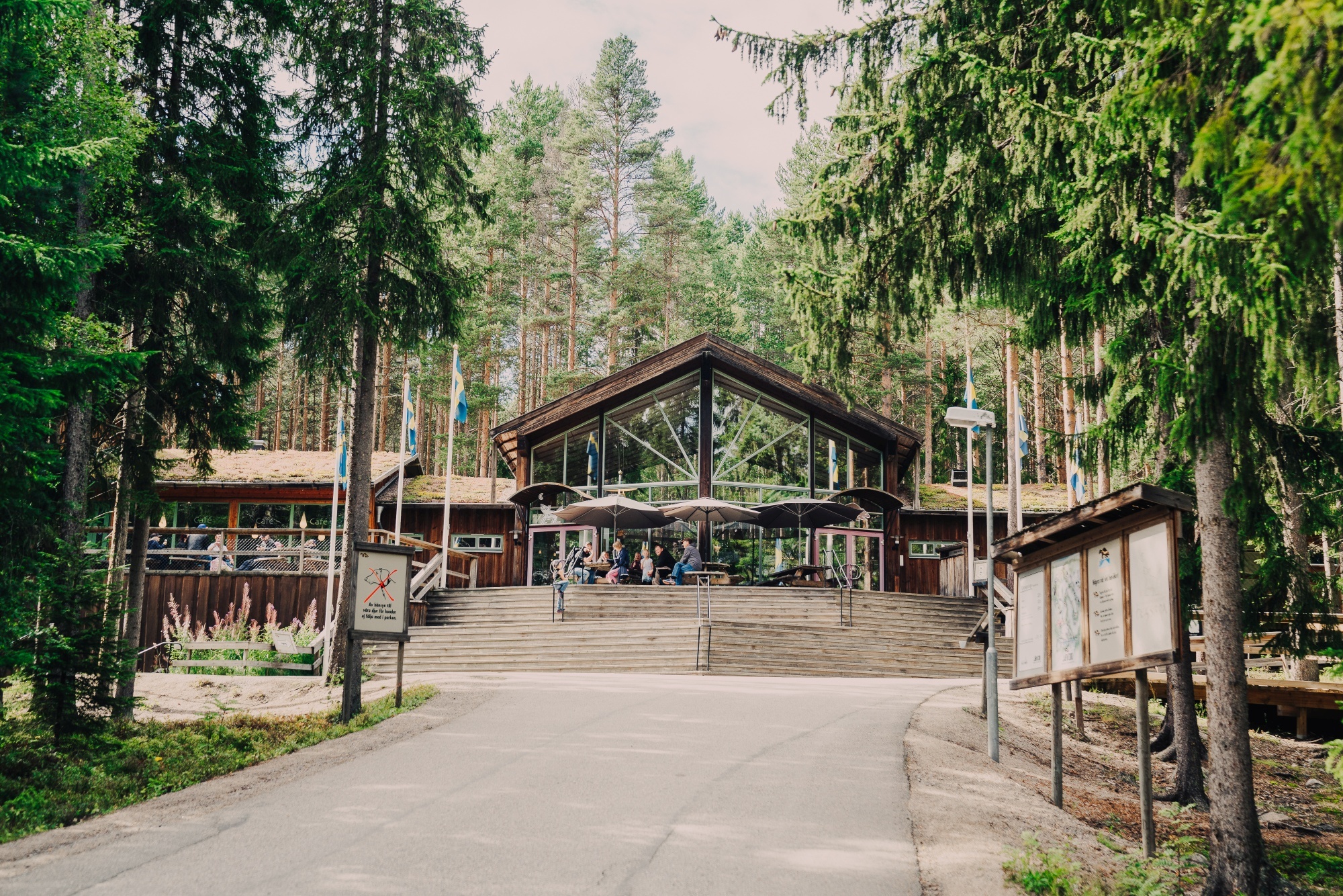 Vildriket Varghotell - The Wolf Hotel in Sweden's Wildlife Park